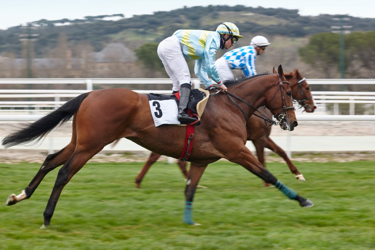 Diverse Horse Racing Types: A Global Overview